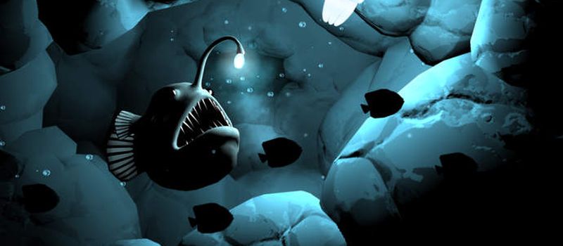 Seashine Tips & Cheats: 4 Tricks You Need to Know