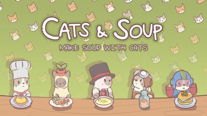 Cats & Soup Guide: Tips, Tricks & Strategies to Improve Your Kitchen ...