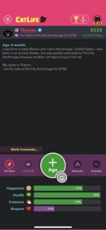 CatLife Beginner’s Guide: 13 Tips, Tricks & Strategies to Help You Live ...