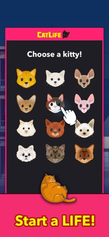 CatLife Beginner’s Guide: 13 Tips, Tricks & Strategies to Help You Live ...