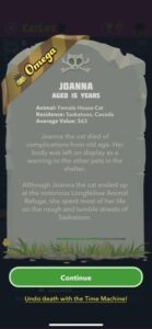 CatLife Ribbons Guide: How to Get the Ordinary, Bad Kitty, Killer Cat ...