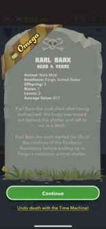 DogLife Ribbons Guide: How to Get the Ordinary, Wasteful, Bad Dog ...