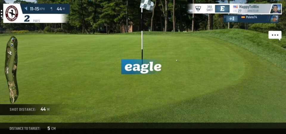 WGT Golf Guide: Tips, Tricks & Strategies to Become a Pro Golfer and ...