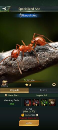 Ant Legion Beginner’s Guide: Tips, Tricks & Strategies to Build an Ant ...